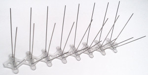 How to Install Bird Spikes – BC Site Service